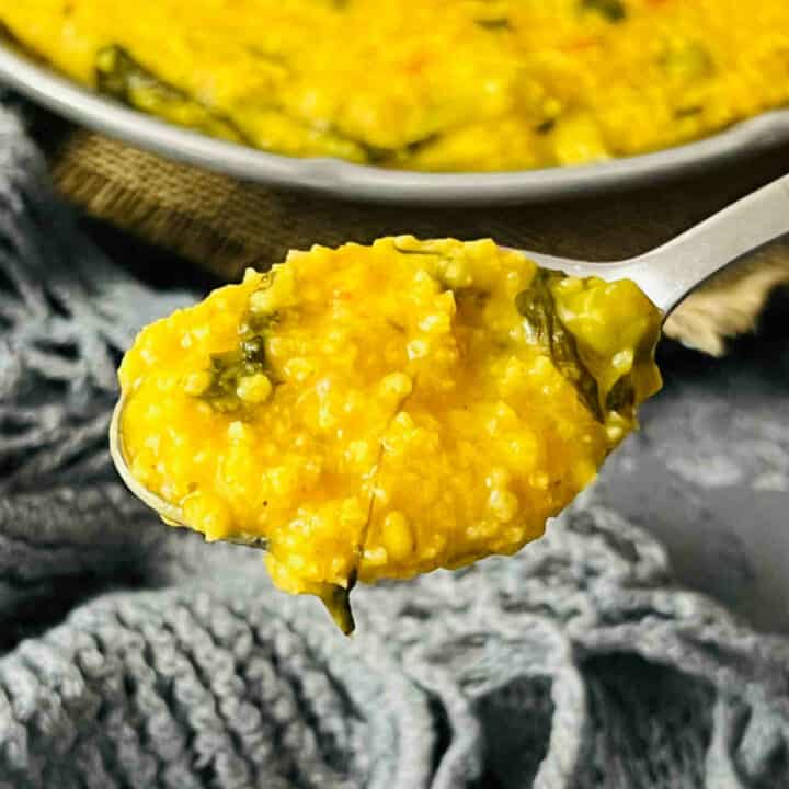 Instant Pot Millet Khichdi - Easy Indian Cookbook