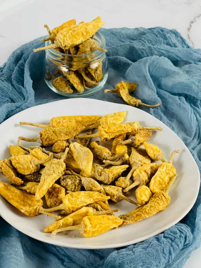 Sun-Dried Curd Chilli - Easy Indian Cookbook