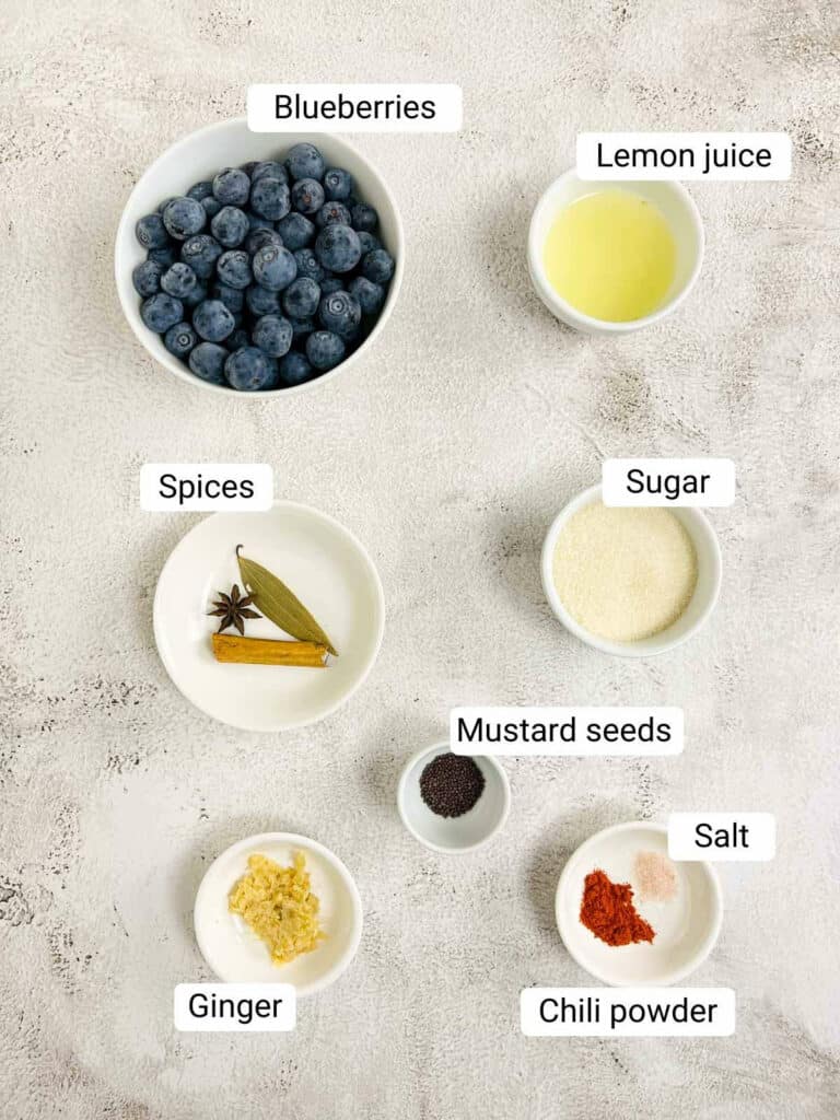 Blueberry Chutney (Sweet and Sour) - Easy Indian Cookbook
