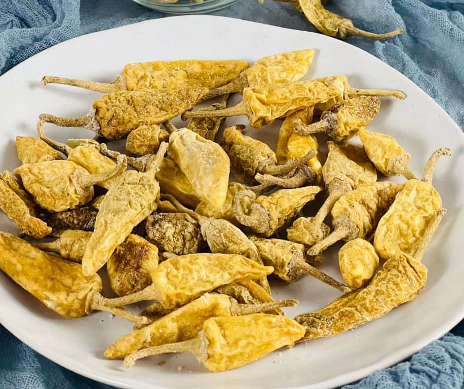 Sun-Dried Curd Chilli - Easy Indian Cookbook