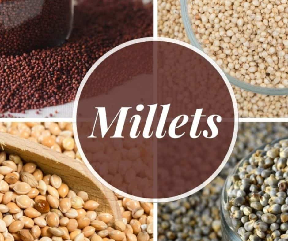 Millet: Types and Indian Recipes - Easy Indian Cookbook